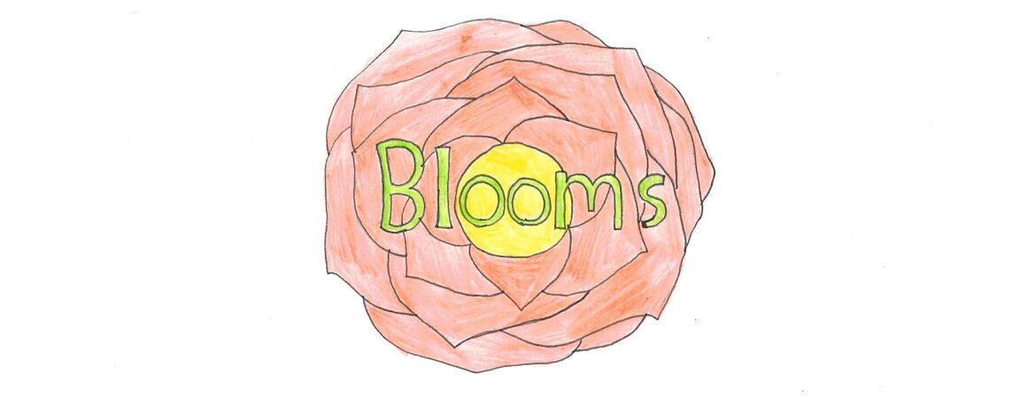 Blooms - Ysgol Tir Morfa